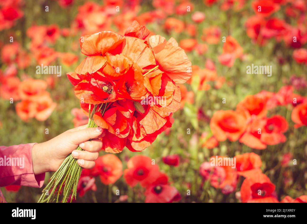 Child flowers in hand hi-res stock photography and images - Alamy