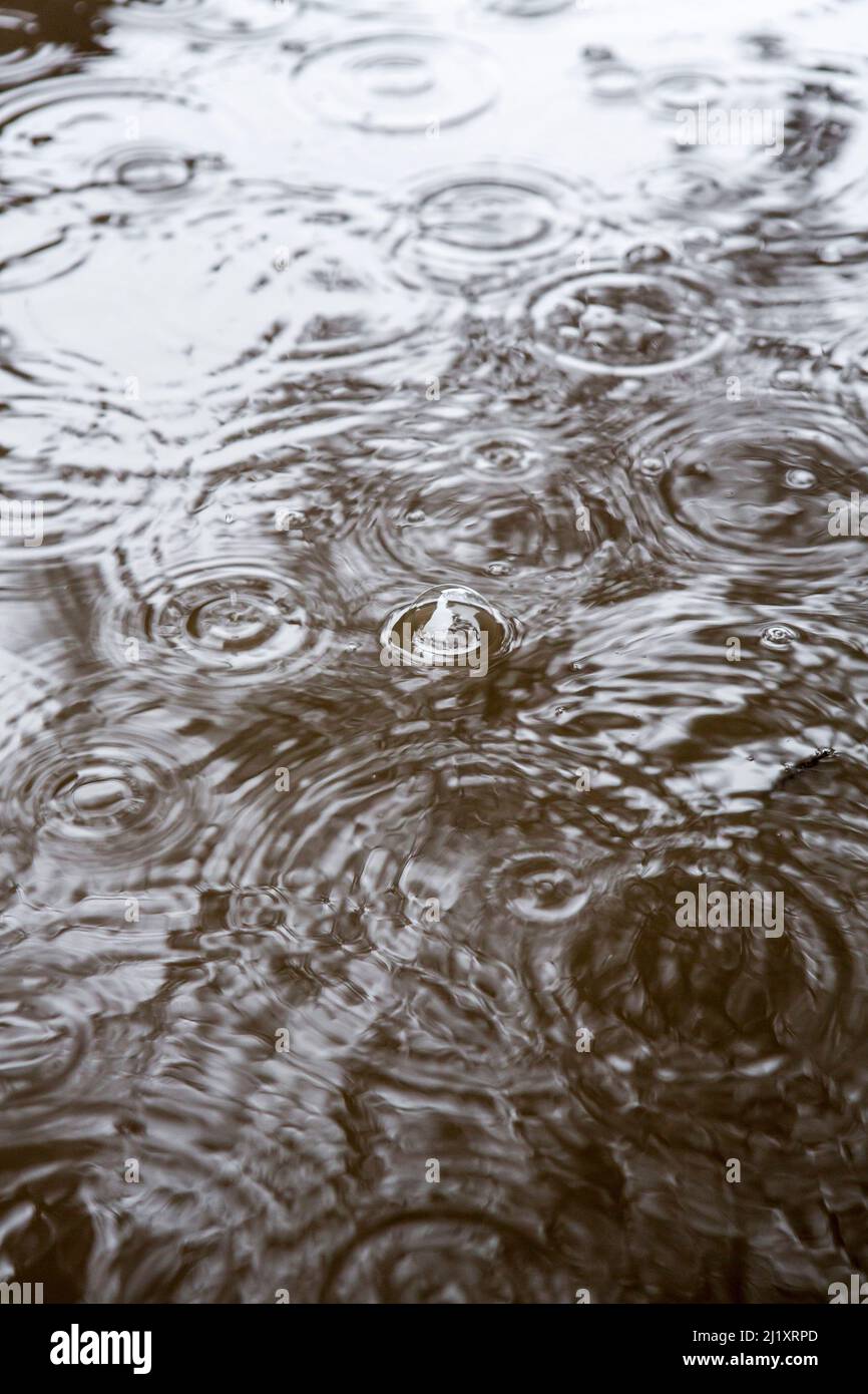 Abstract aptterns of ripples and bubbles formed by rain falling on a ...
