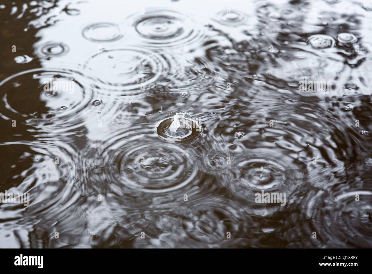 Abstract aptterns of ripples and bubbles formed by rain falling on a ...