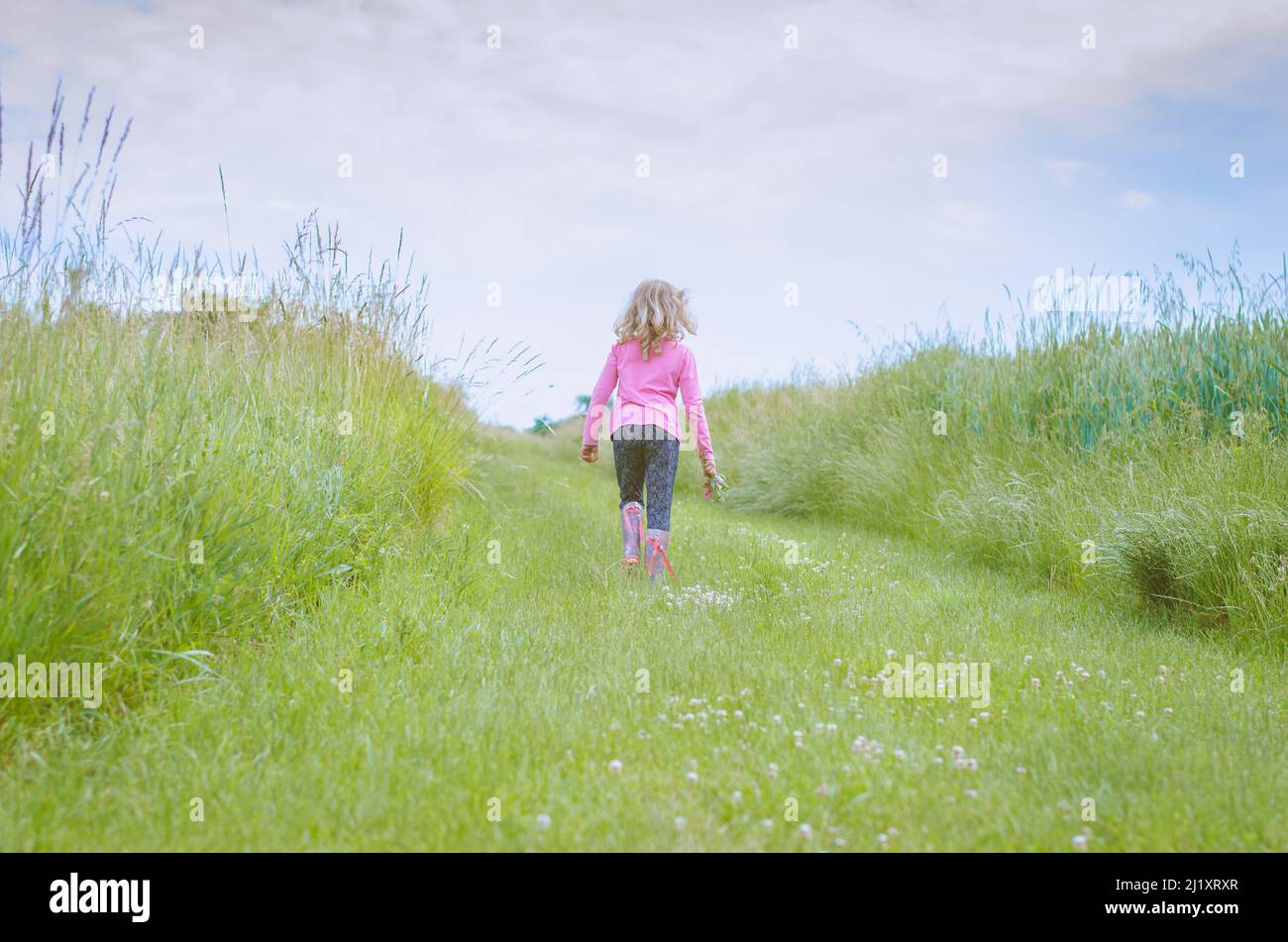 girl with long blond hair back view walking in rural path Stock Photo ...