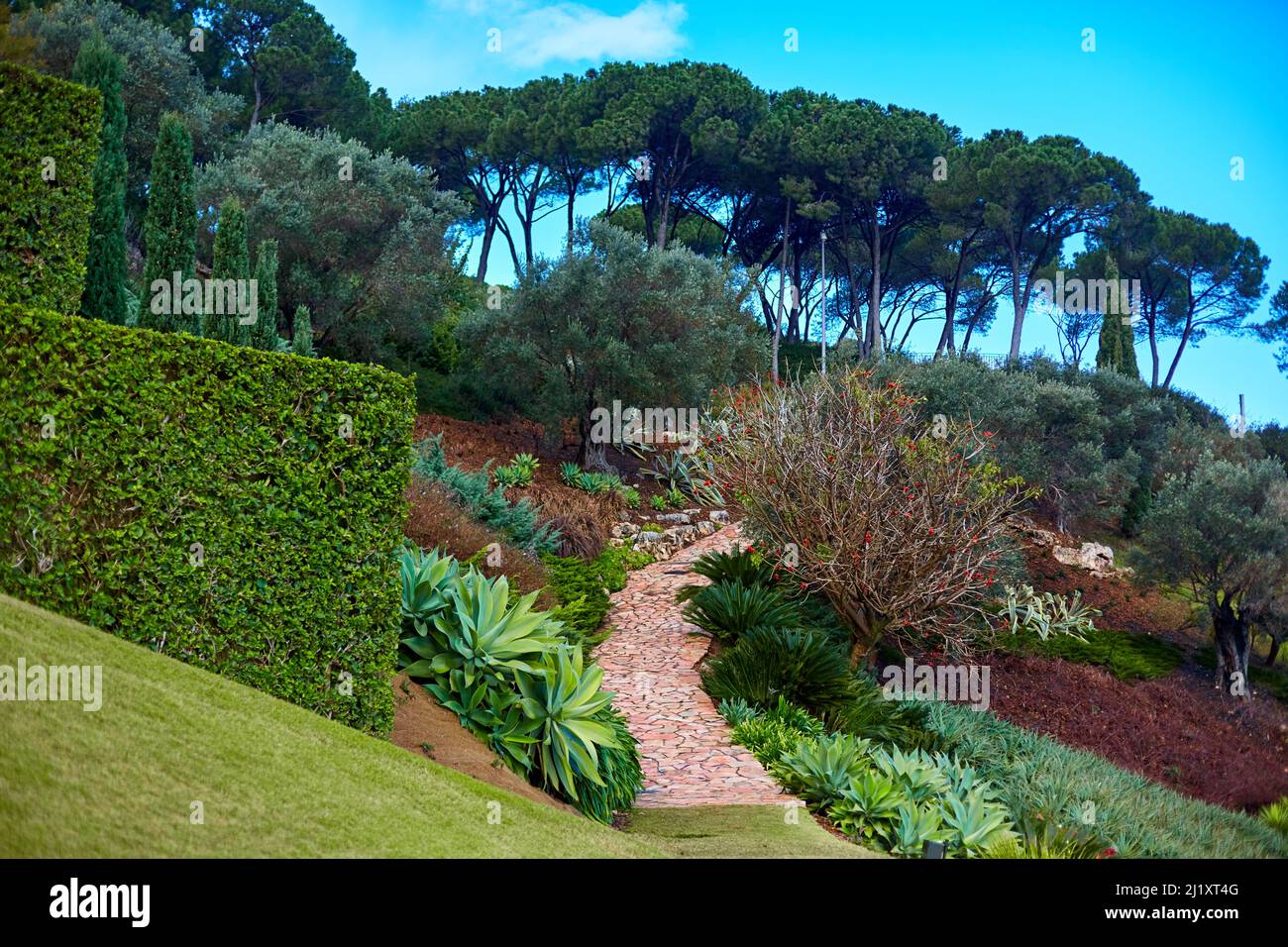 Walk through the botanical garden. View of green plants Stock Photo - Alamy