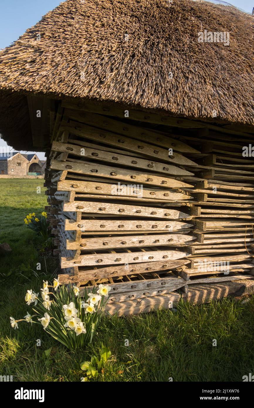UK, England, Somerset. Priddy village green. A stack of Hurdles was ...
