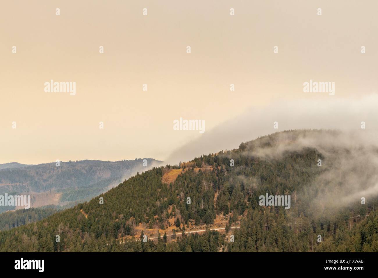 Exploring the beautiful Black Forest near Oppenau - Baden-Wurttemberg ...