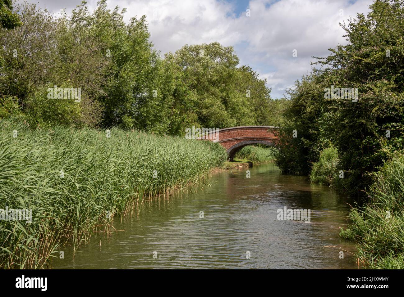 Oxford Canal near Lower Heyford, Oxfordshire, UK Stock Photo - Alamy