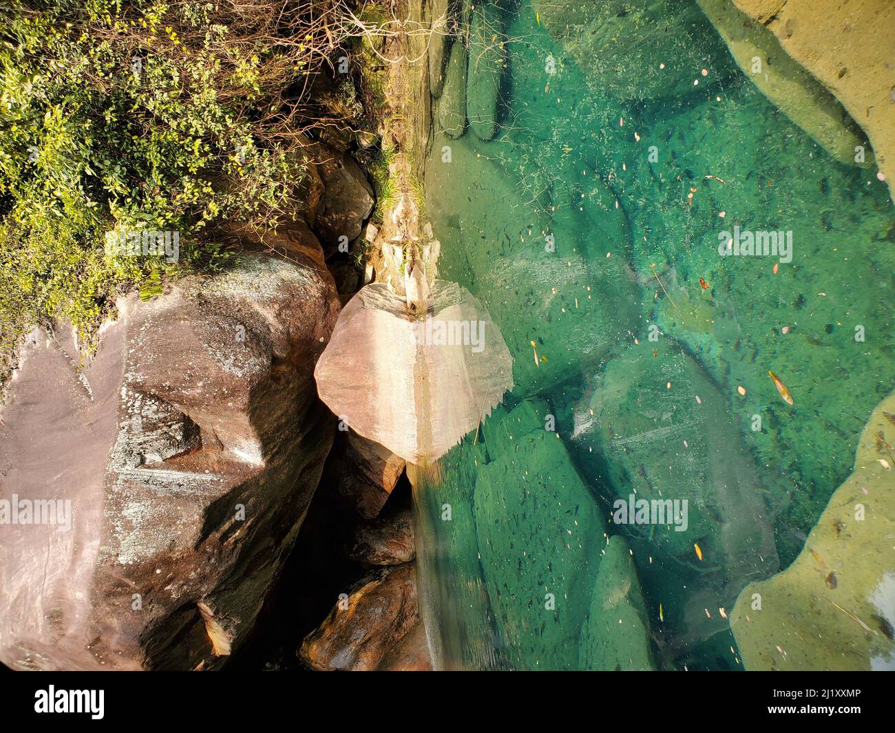 A vertical of a tiny waterfall flowing into a transparent pond between ...