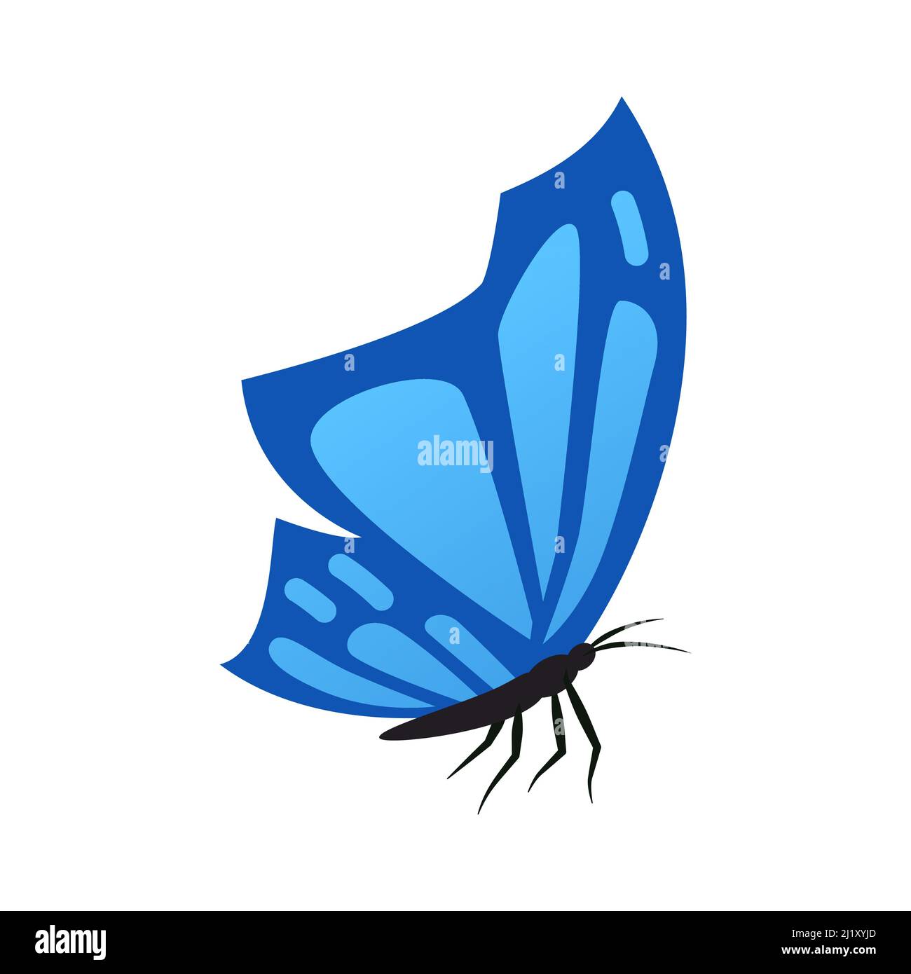 Blue butterfly - modern flat design single isolated object Stock Vector ...