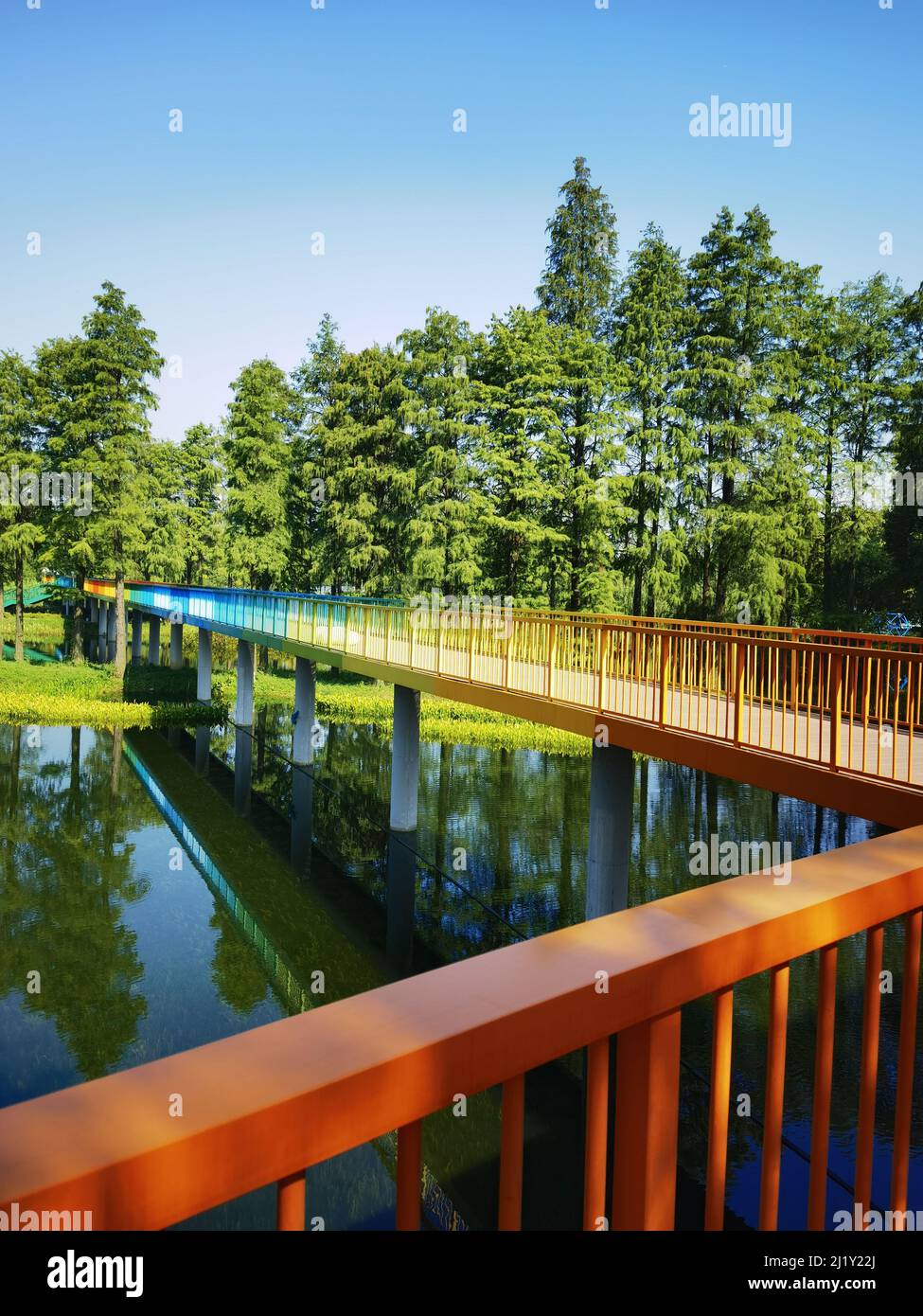 A vertical of a rainbow-colored bridge and green trees reflecting on ...