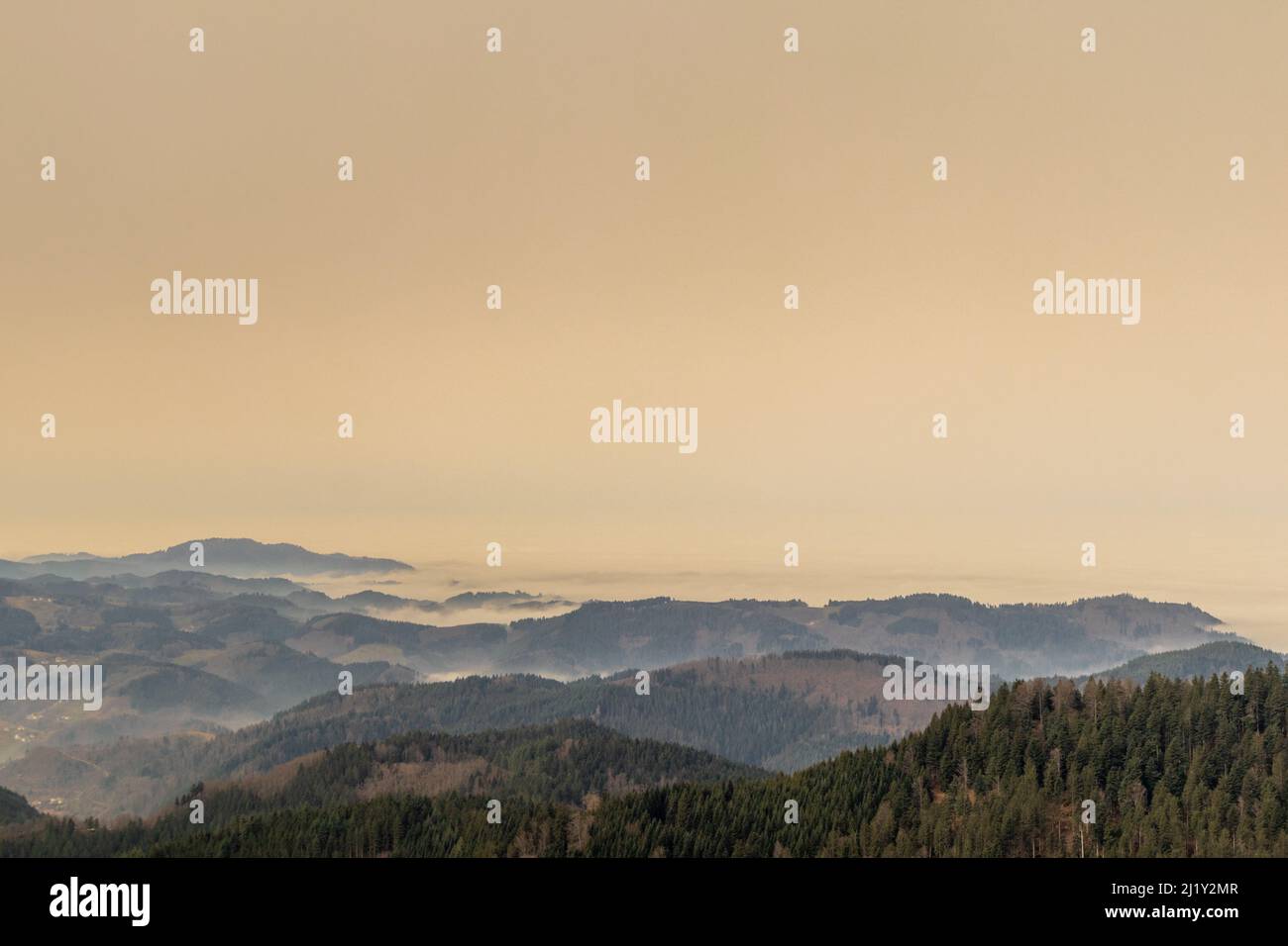 Exploring the beautiful Black Forest near Oppenau - Baden-Wurttemberg ...