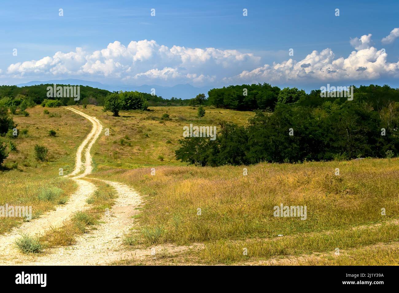 Shot of an open road in the countryside Stock Photo - Alamy