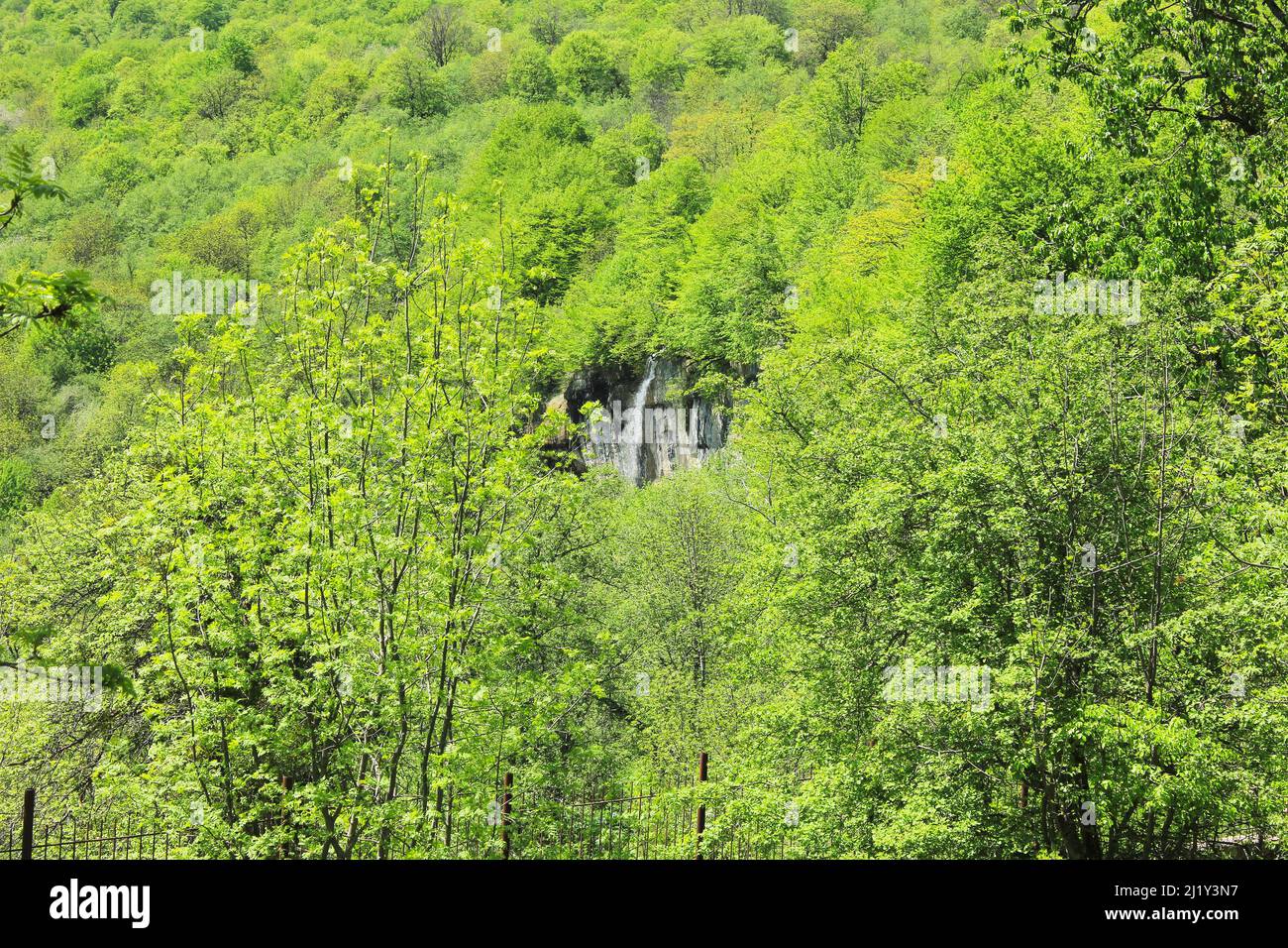 Beautiful waterfall in the forest mountains of the Caucasus. The ...