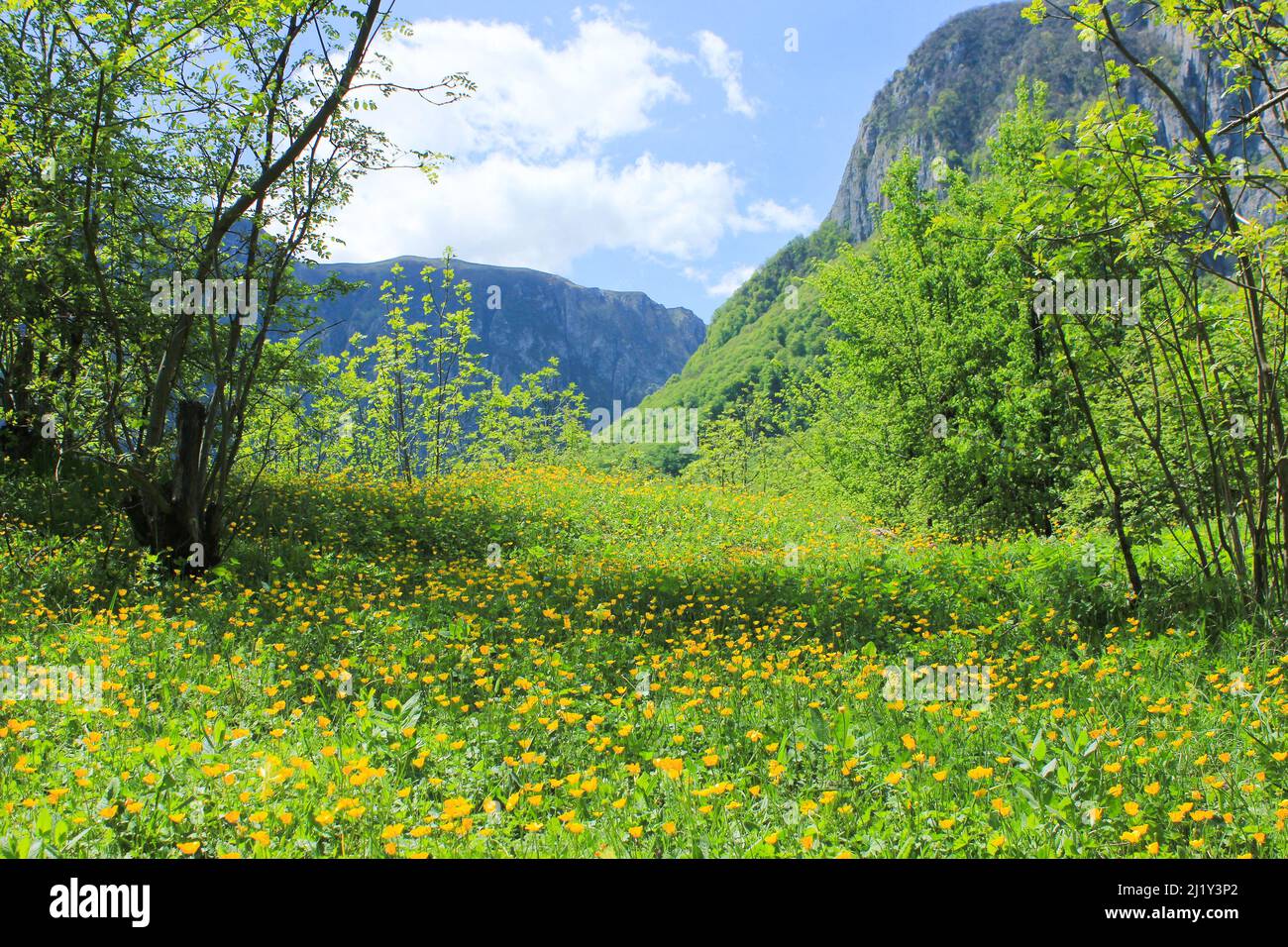 Beautiful green fields in the mountains. The village of Gryzdakhnya ...