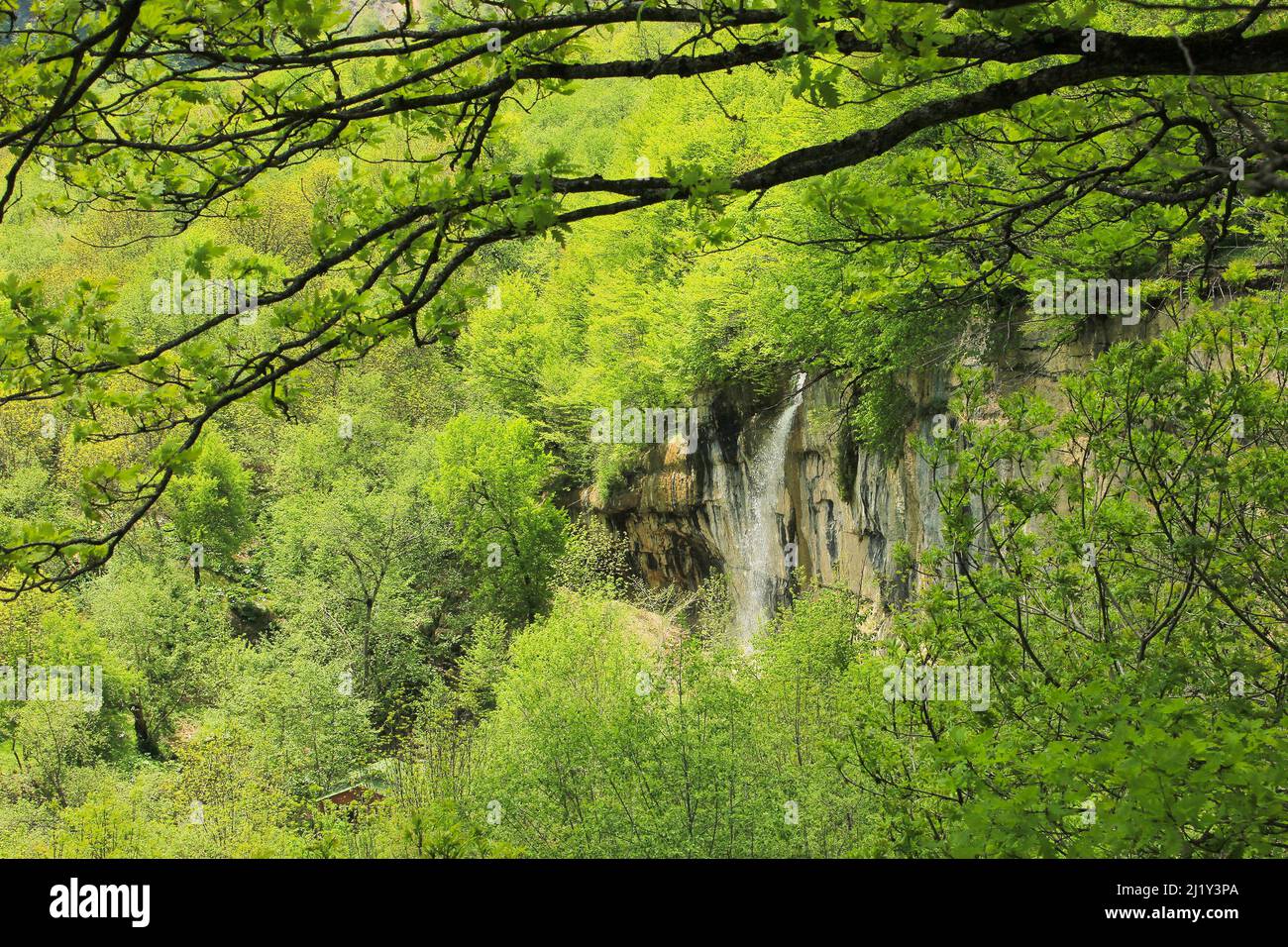 Beautiful waterfall in the forest mountains of the Caucasus. The ...