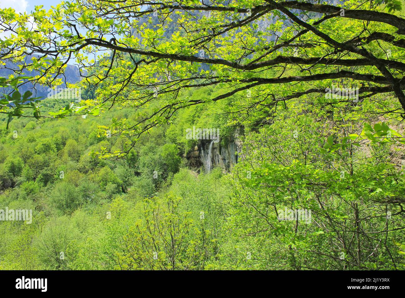Beautiful waterfall in the forest mountains of the Caucasus. The ...
