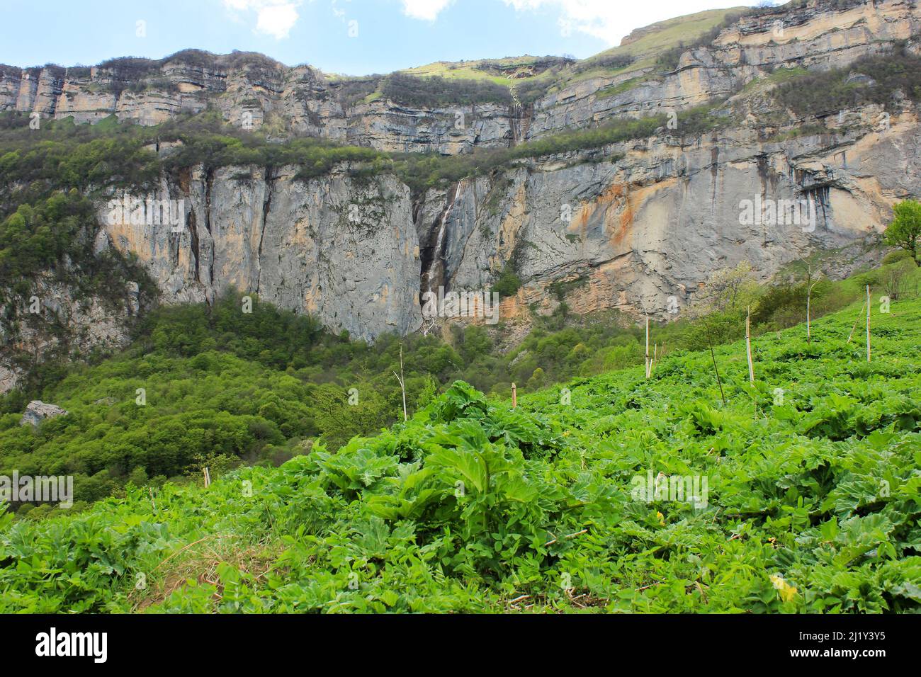 Beautiful waterfall in the Caucasus mountains. The village of ...