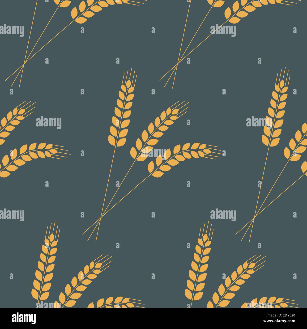 Seamless pattern, ear of wheat rye, rural harvest background ...