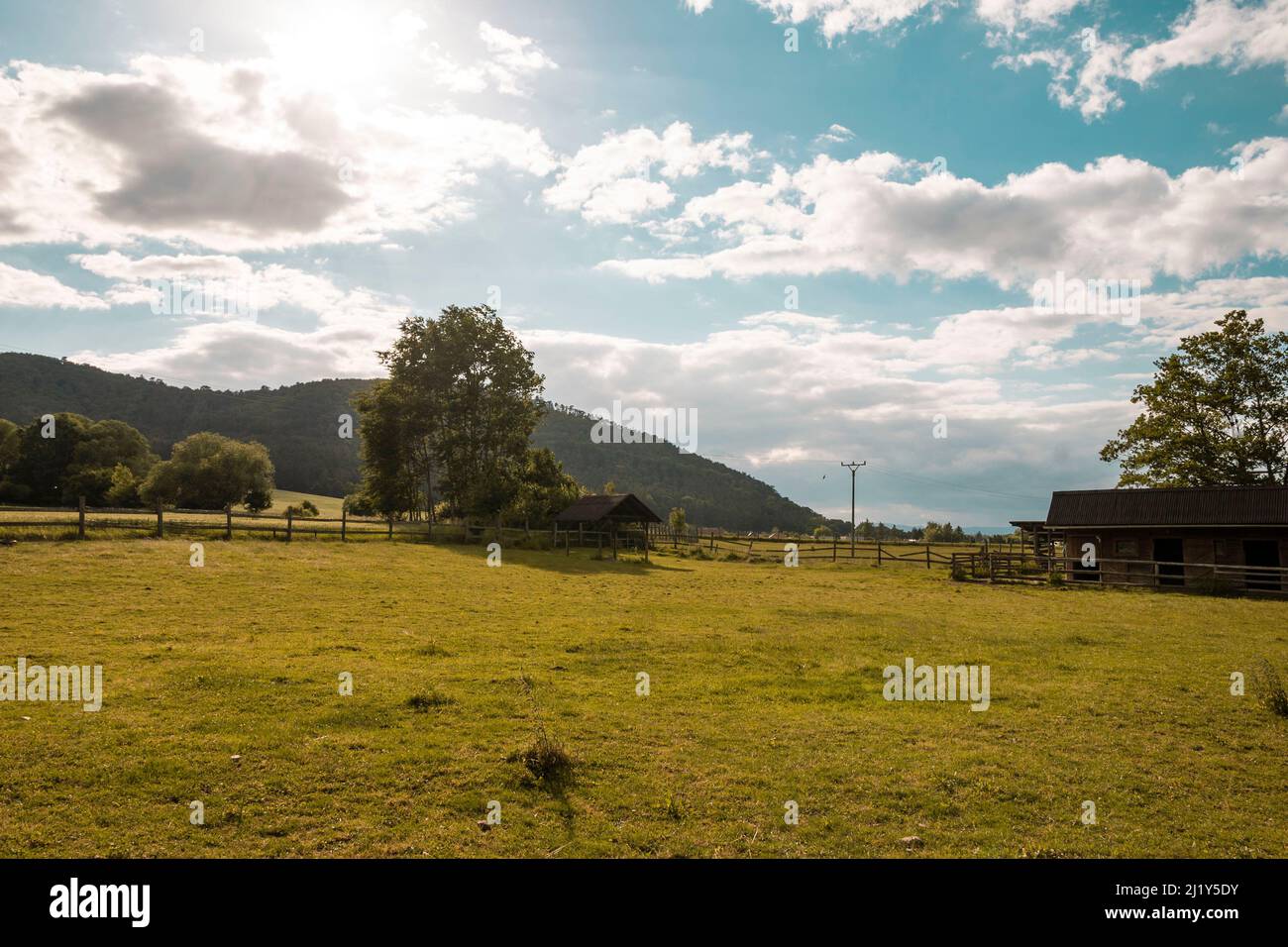 Summer farm hi-res stock photography and images - Alamy