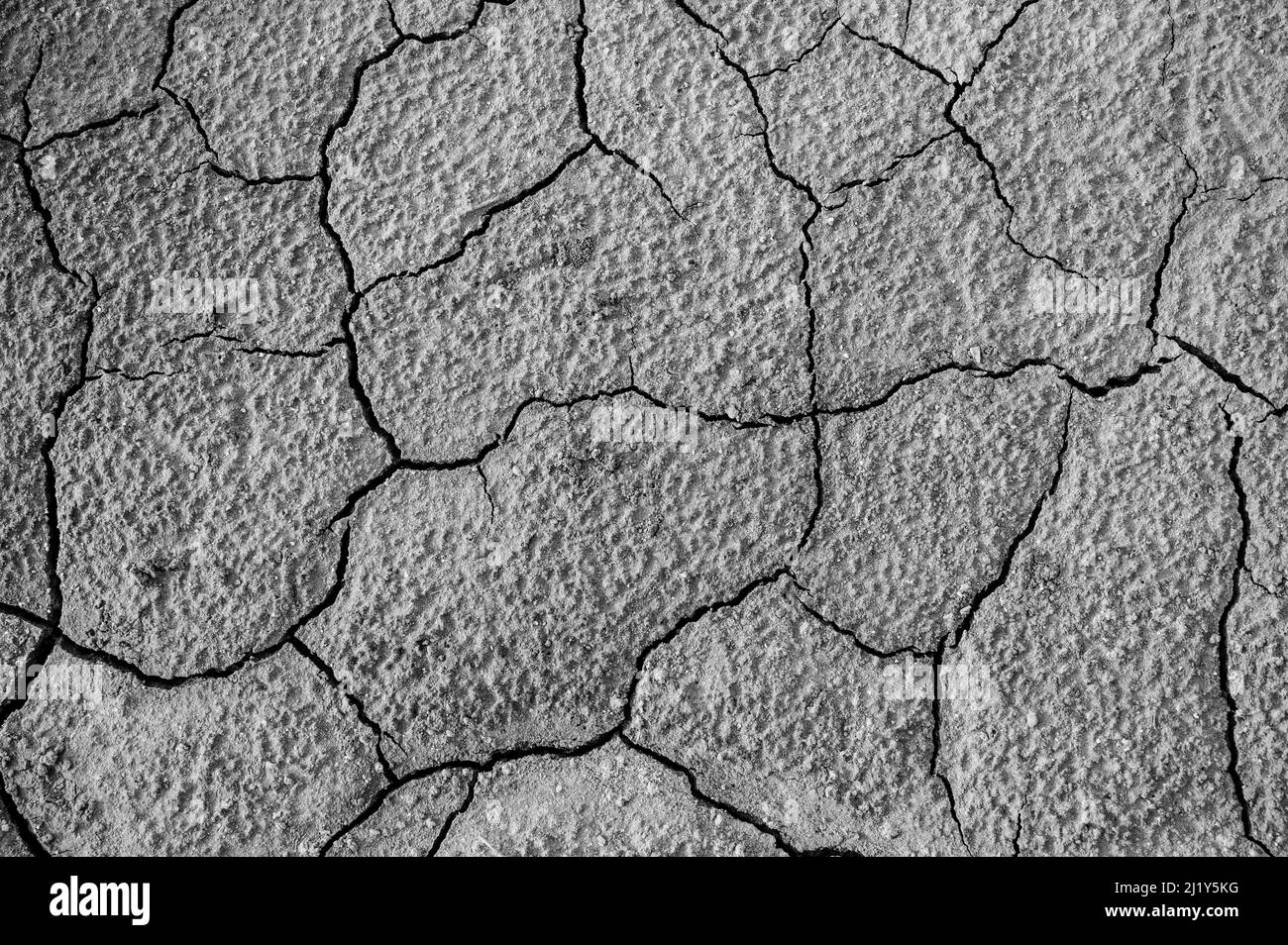 A closeup shot of cracks in the sand and mud because of heat in ...