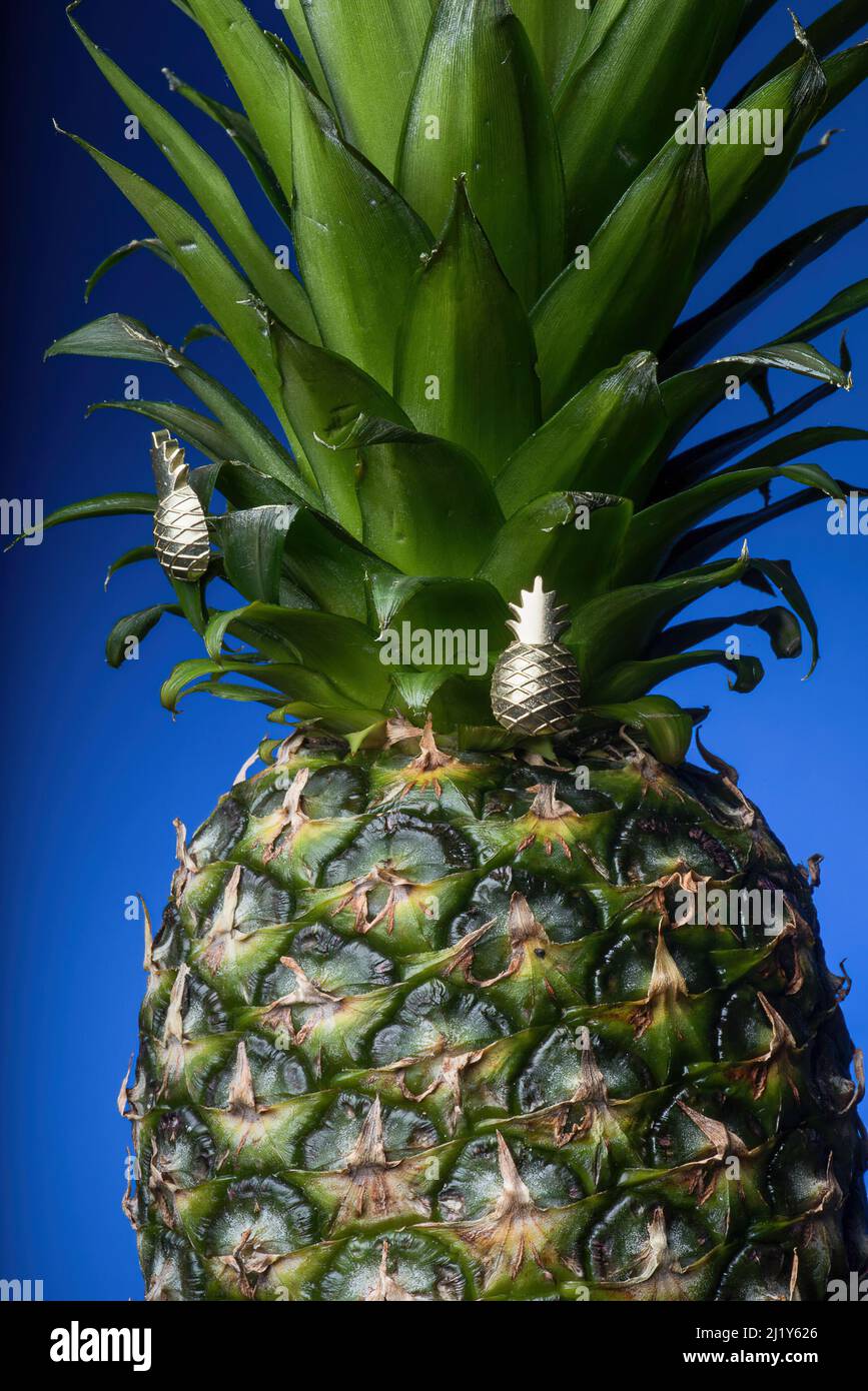 A vertical illustration of pineapple with small decorative silver ...