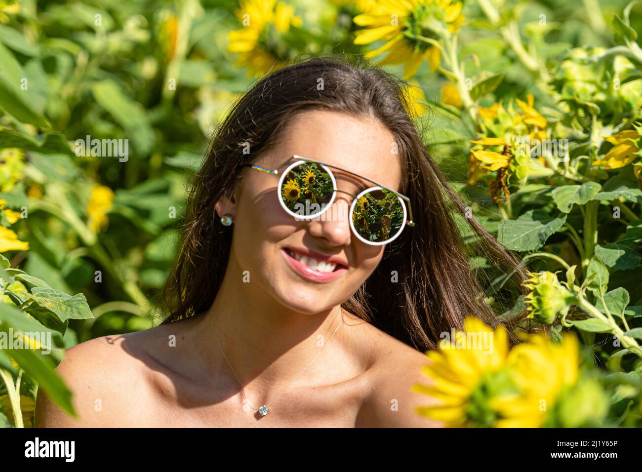 sensual slim woman with long hair in sunglasses in a sunflower field on ...