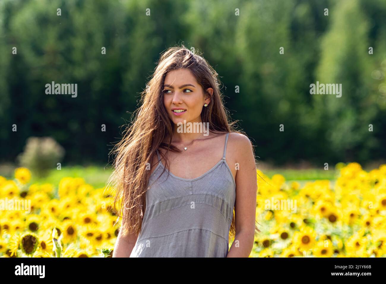 portrait of a beautiful brunette woman in a linen country style dress ...