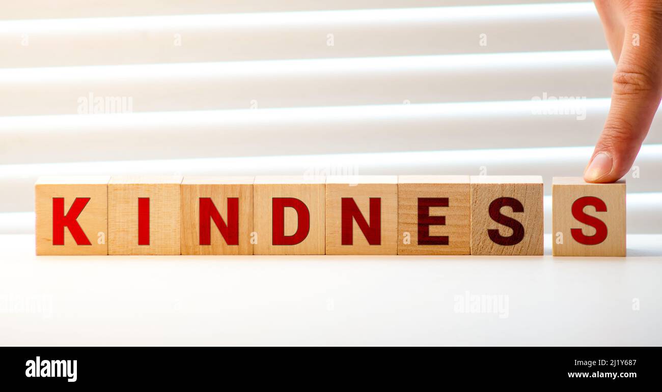 Word KINDNESS made with wood building blocks,stock image Stock Photo ...