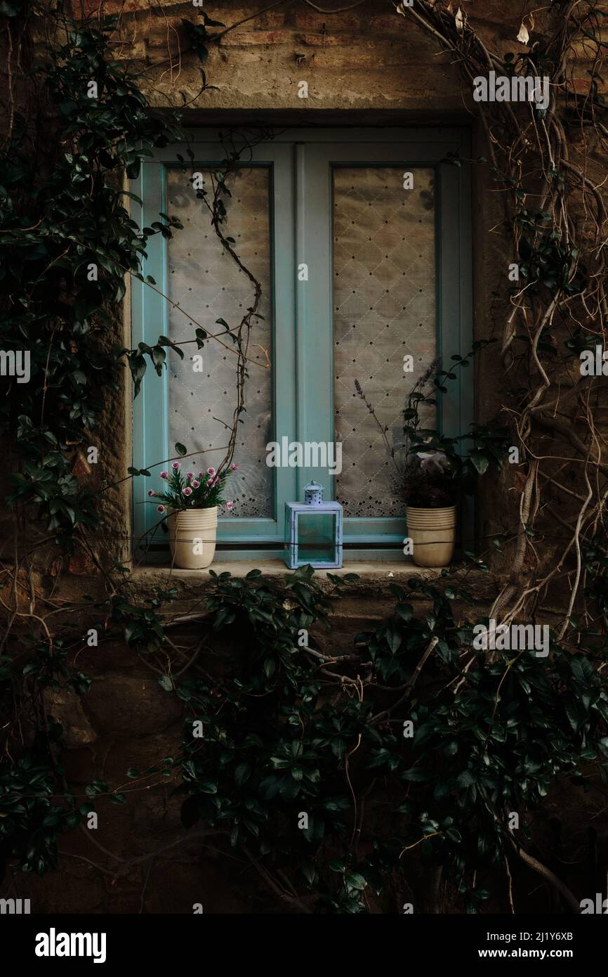 A vertical shot of a beautiful light blue vintage window from the ...