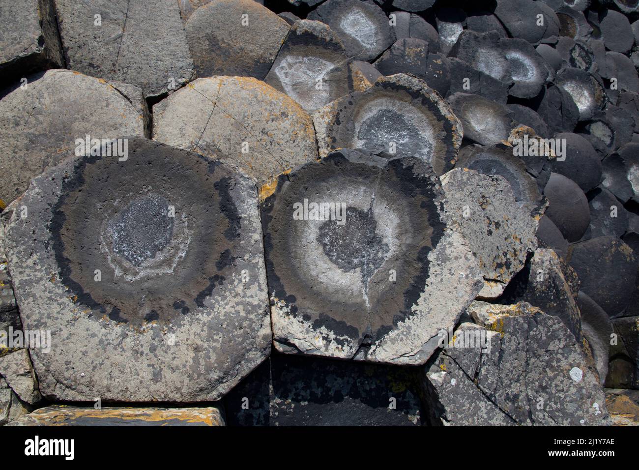Giant's Causeway an area of about interlocking basalt columns, County ...