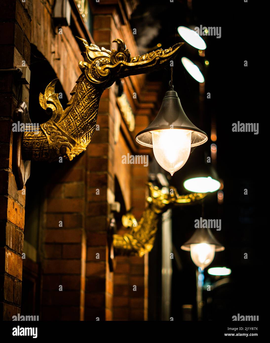 A vertical closeup shot of the antique dragon style lamps on the street ...