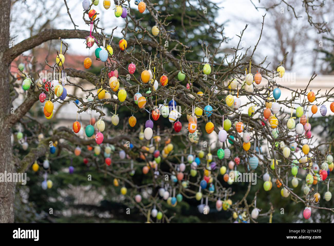 Tree decorated with colorful Easter eggs, street Easter decor Stock ...