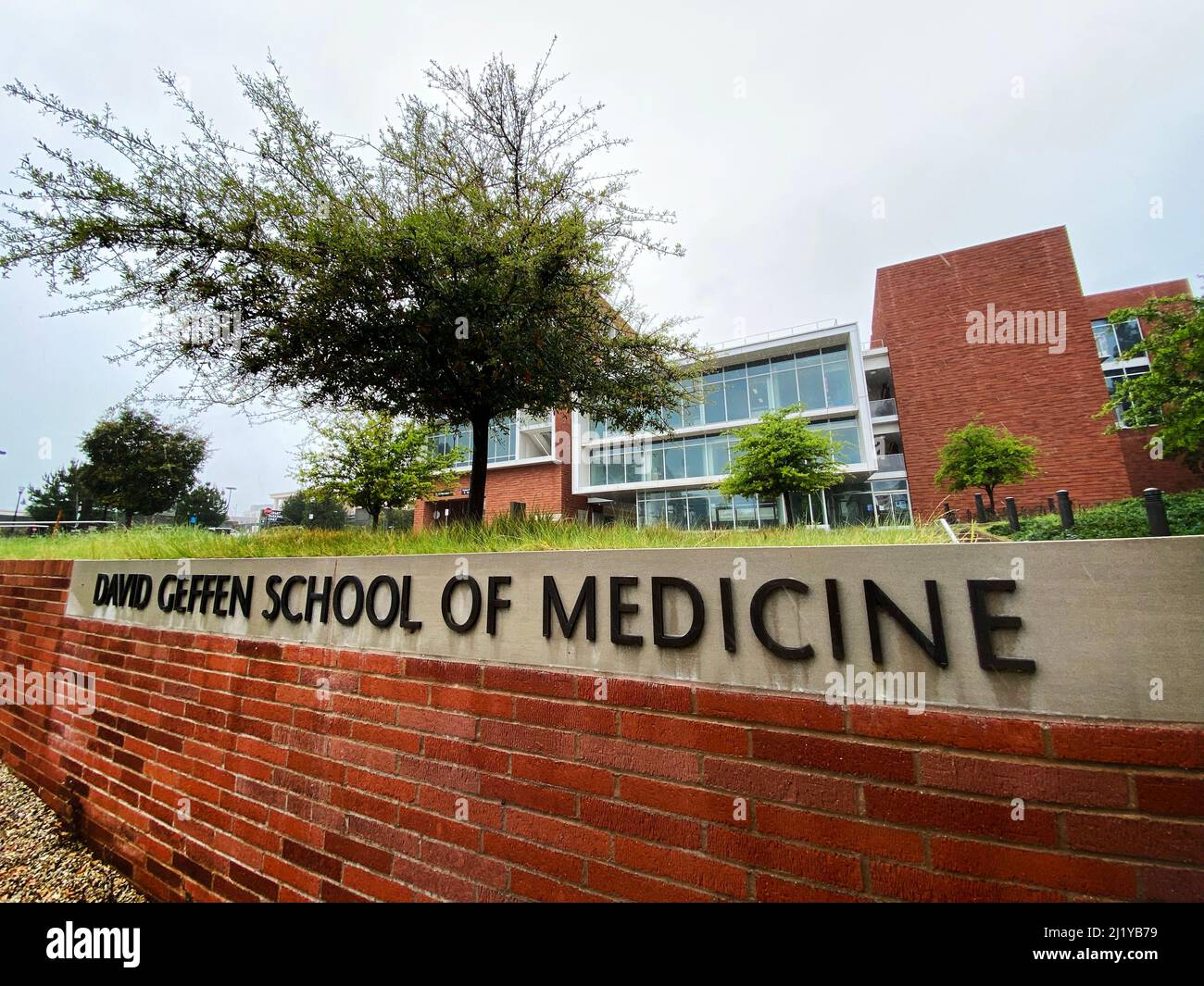 Ucla Dgsom Logo UCLA Match Day 2023 | David Geffen School Of Medicine