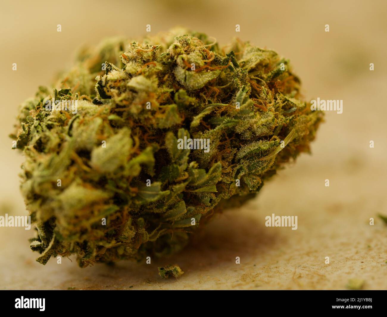 Weed bud hi-res stock photography and images - Alamy