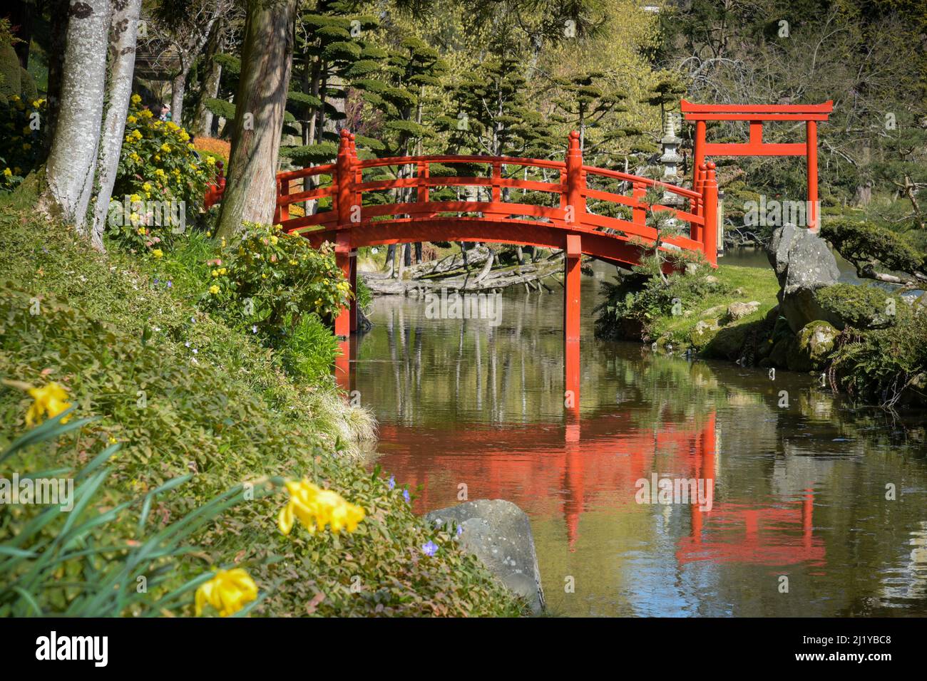 Beautiful view red bridge hi-res stock photography and images - Alamy