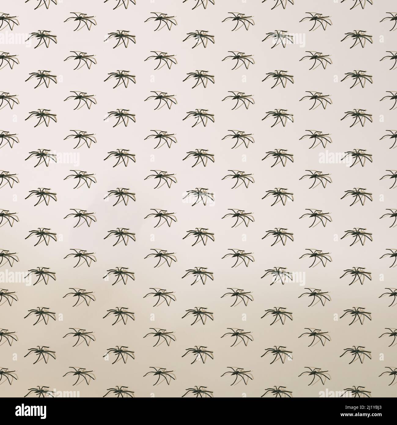 Minimal Halloween pattern of black spiders on neutral beige background ...