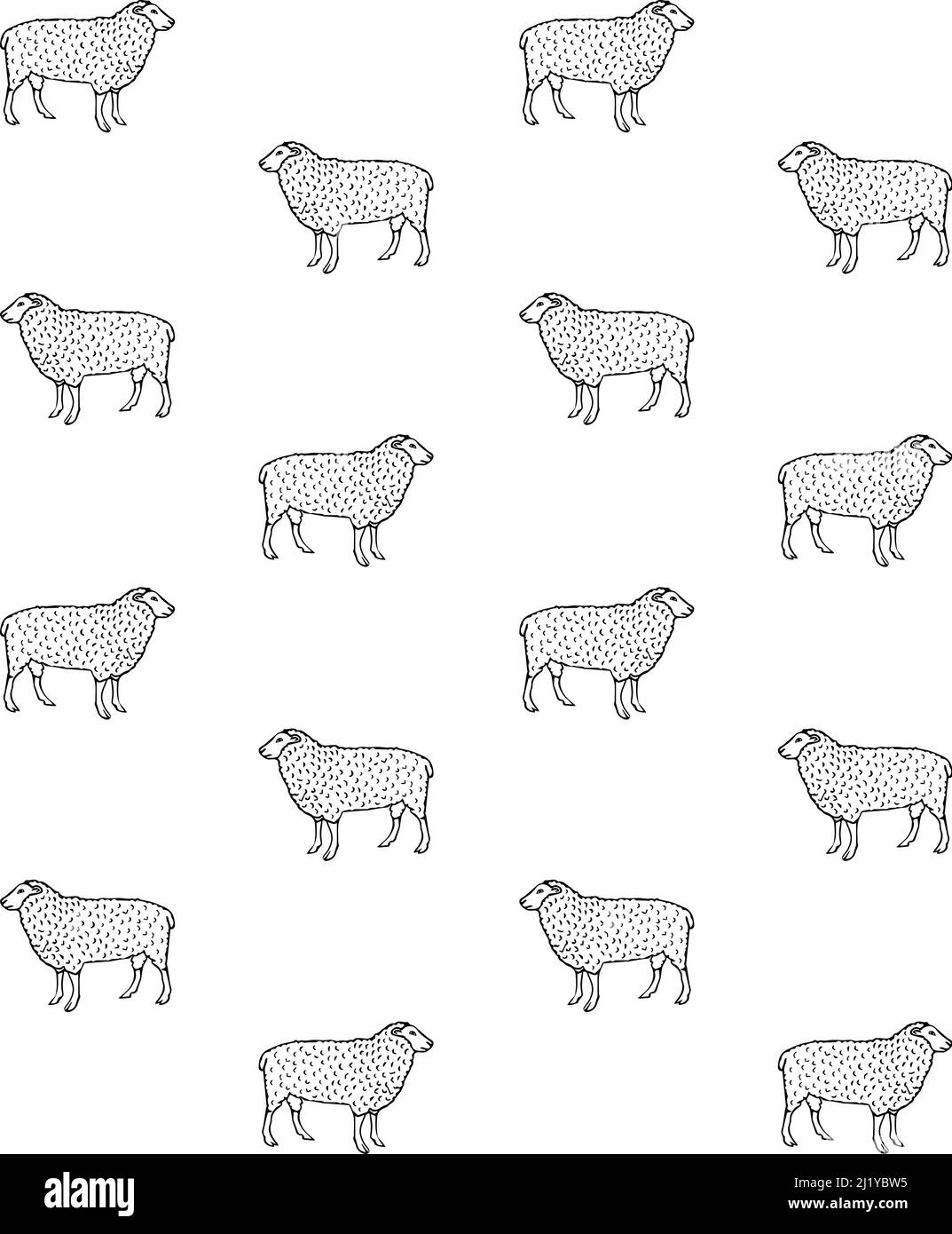 Vector seamless pattern of hand drawn sketch sheep Stock Vector Image ...