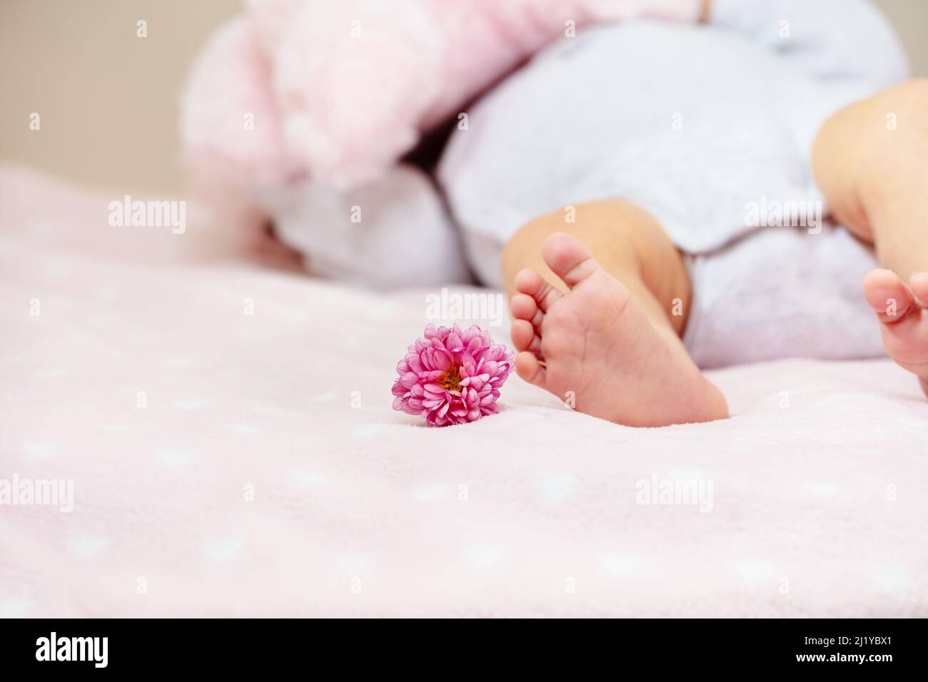 Little newborn baby girl lay in the crib with flower Stock Photo - Alamy