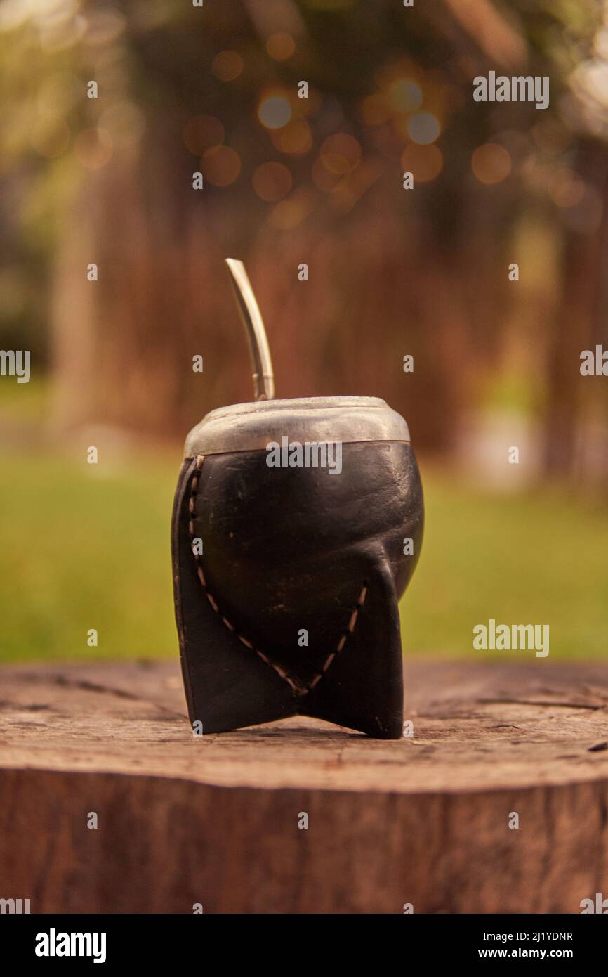 Close up of a calabash yerba mate on a cut tree trunk with blurred ...