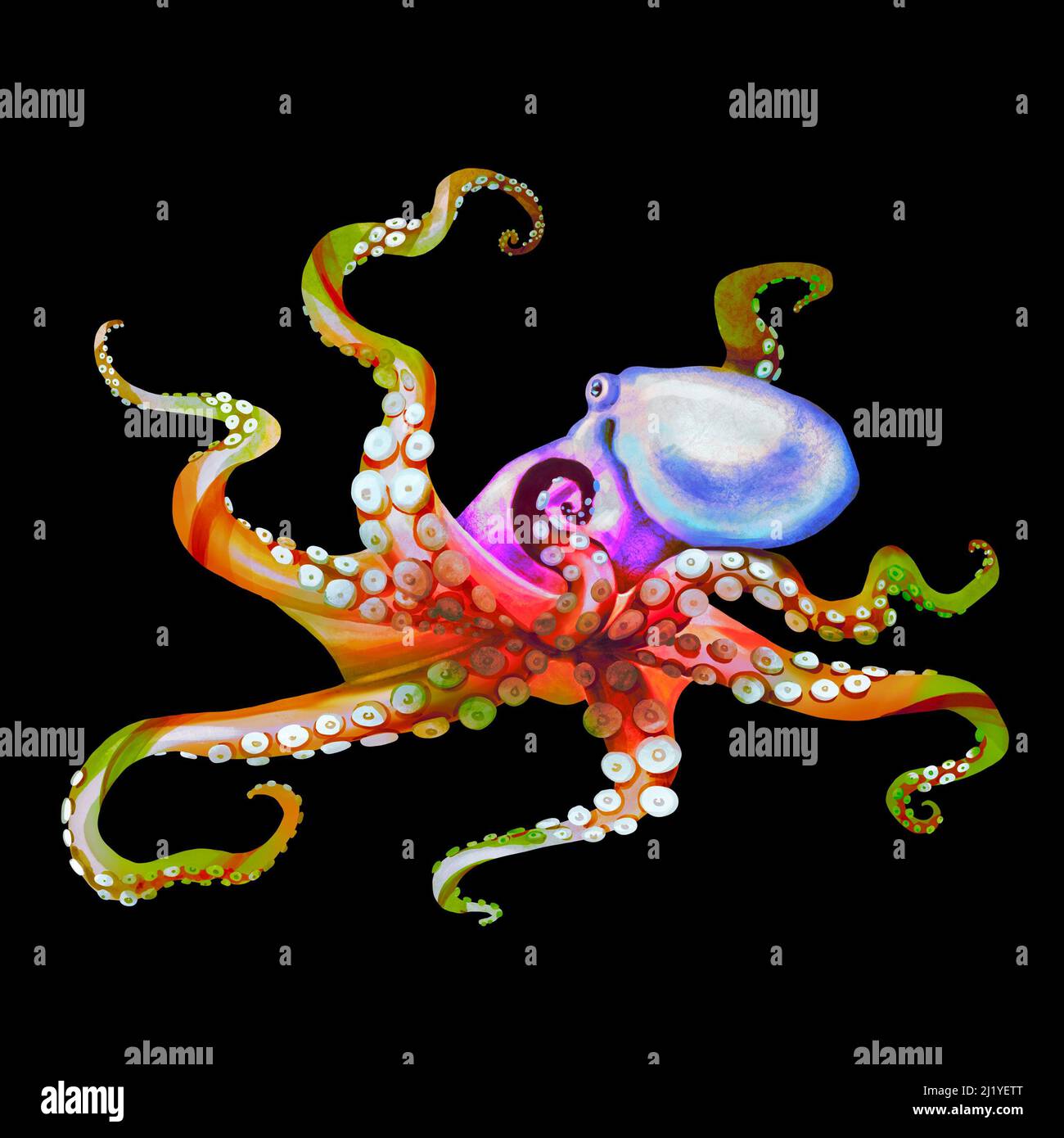 a vivid watercolor illustration of an octopus. Octopus with an ...