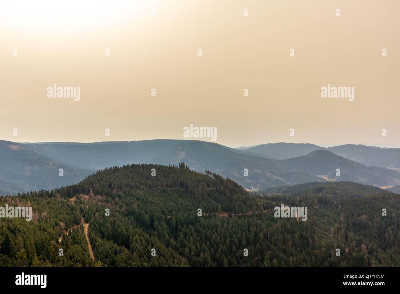 Exploring the beautiful Black Forest near Oppenau - Baden-Wurttemberg ...