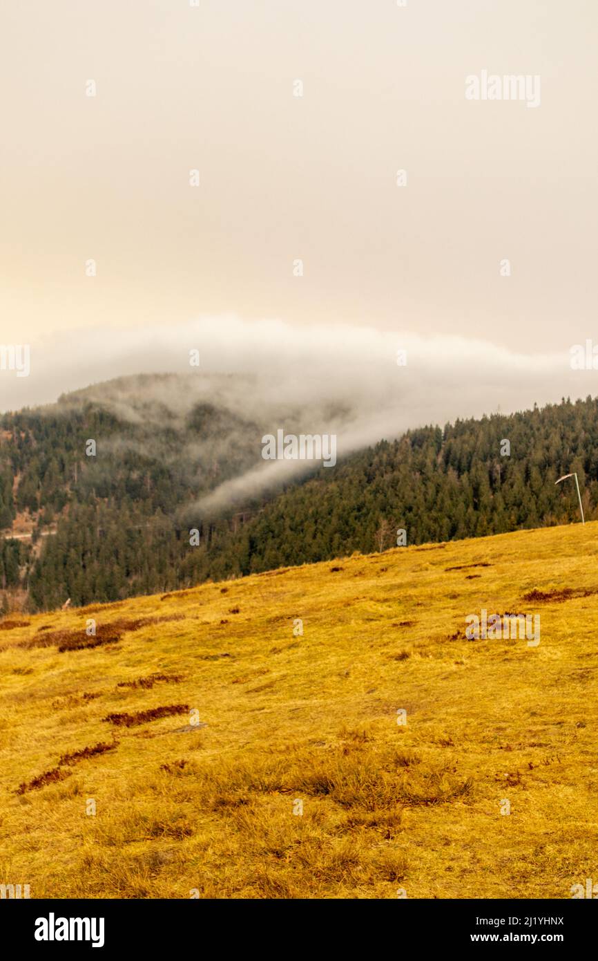 Exploring the beautiful Black Forest near Oppenau - Baden-Wurttemberg ...