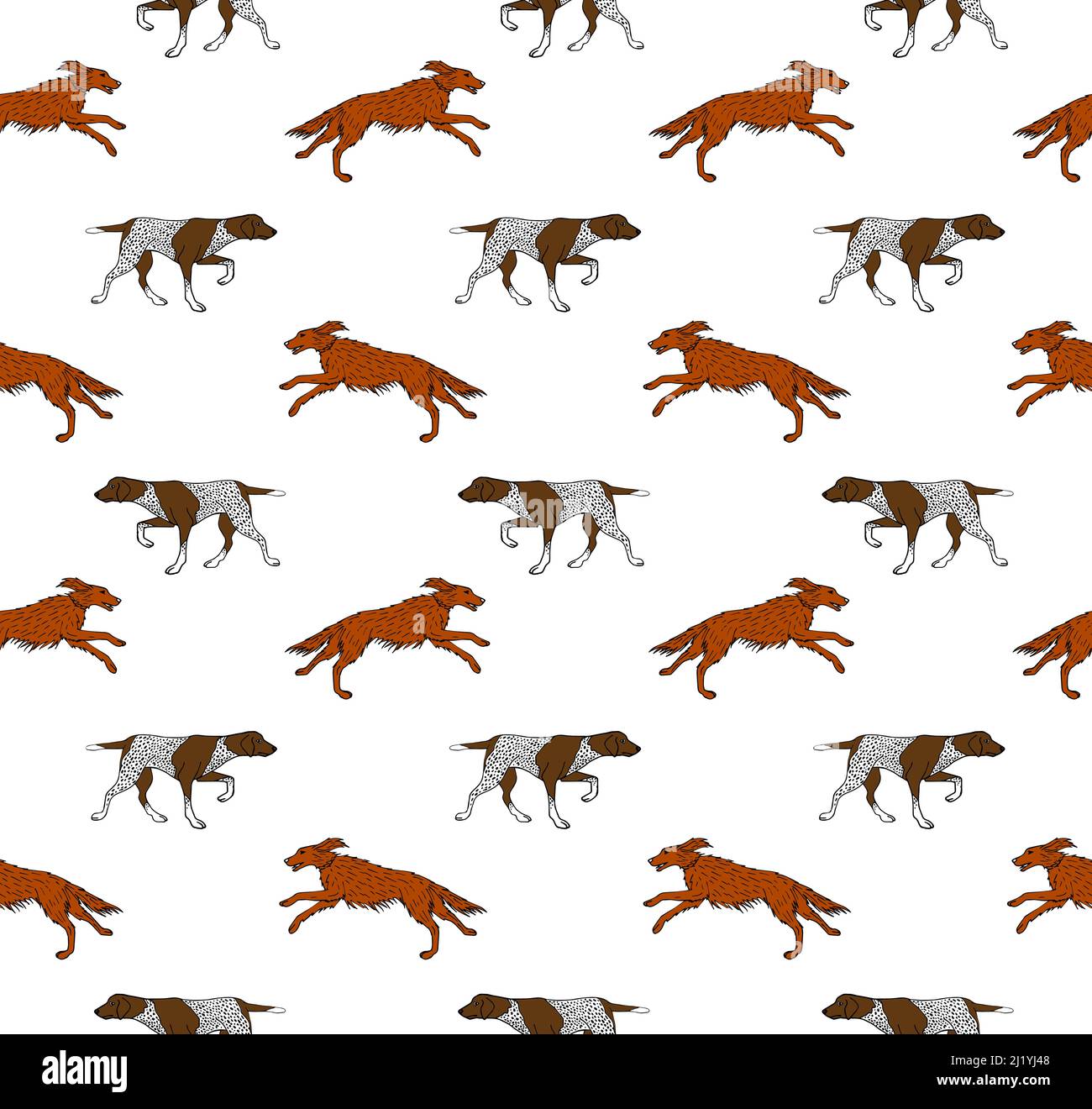 Vector seamless pattern of hunting dog Stock Vector Image & Art - Alamy
