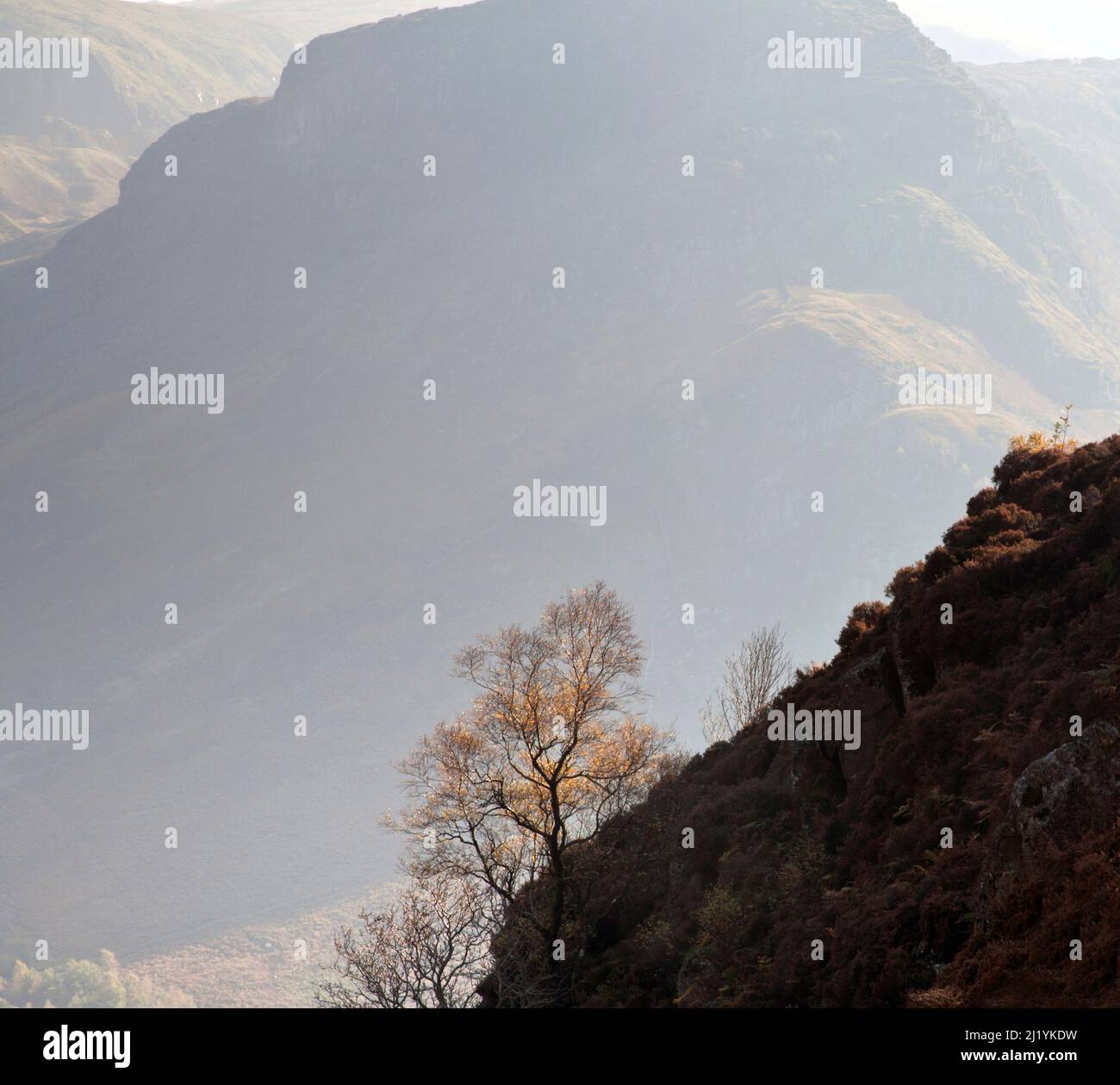 High above "Eagle Crag" Autumn fells view from Great crag in the Lake ...