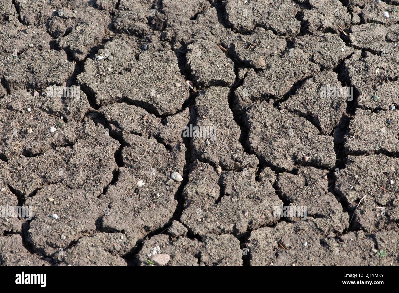 Dry cracked soil. Dry textured ground surface as background Stock Photo ...