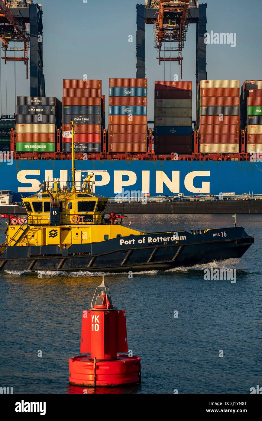 Container ship of Cosco Shipping, CSCL SATURN, being loaded and ...