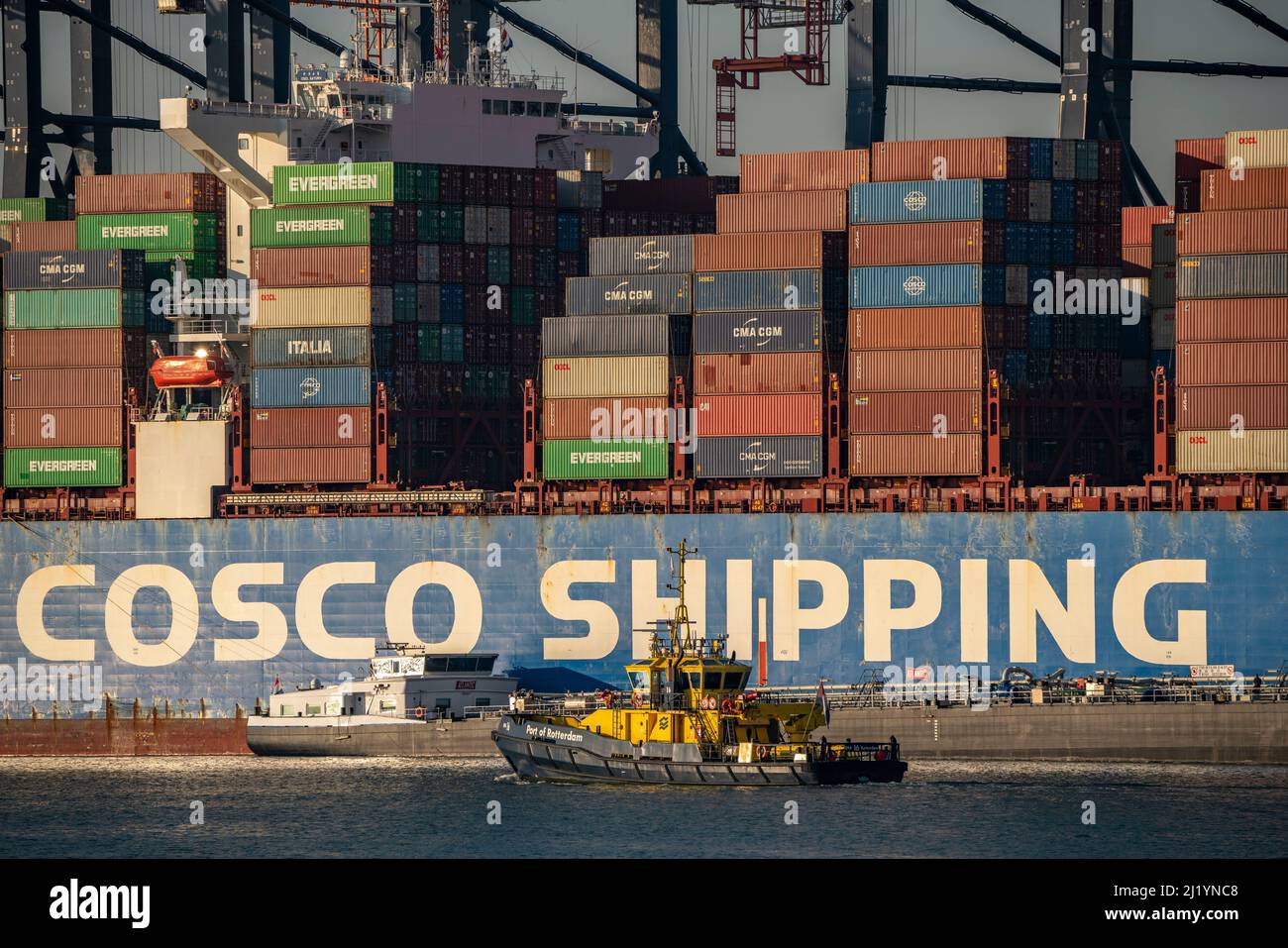 Container ship of Cosco Shipping, CSCL SATURN, being loaded and ...