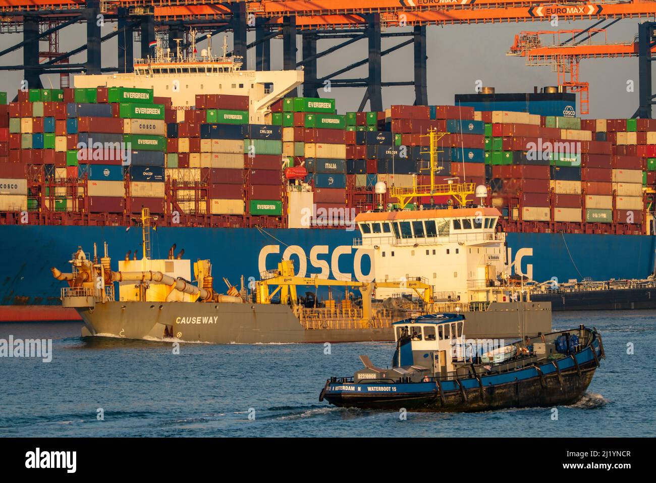 Container ship of Cosco Shipping, CSCL SATURN, being loaded and ...