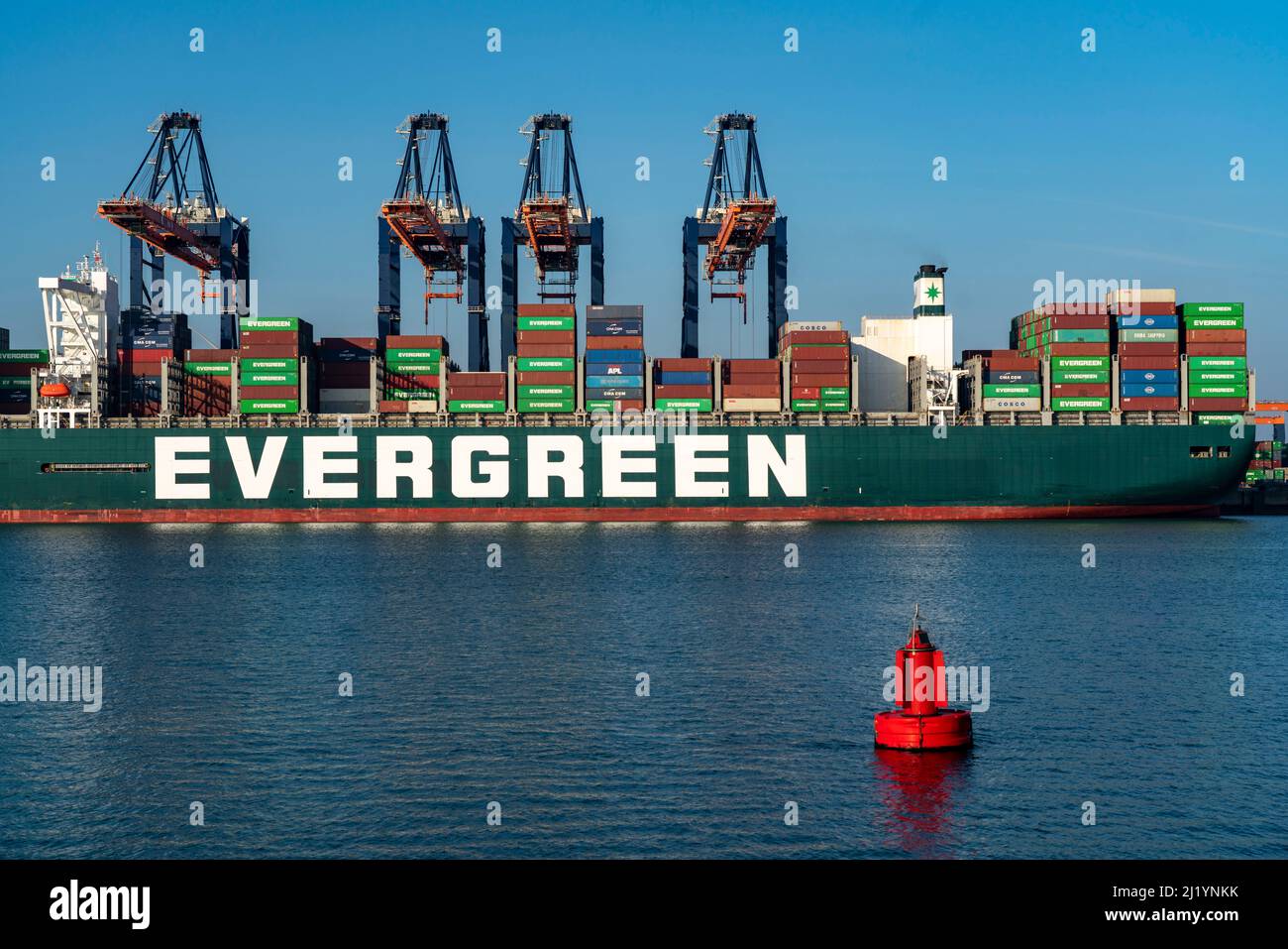 Container ship of shipping company Evergreen, Ever Grade, being loaded ...