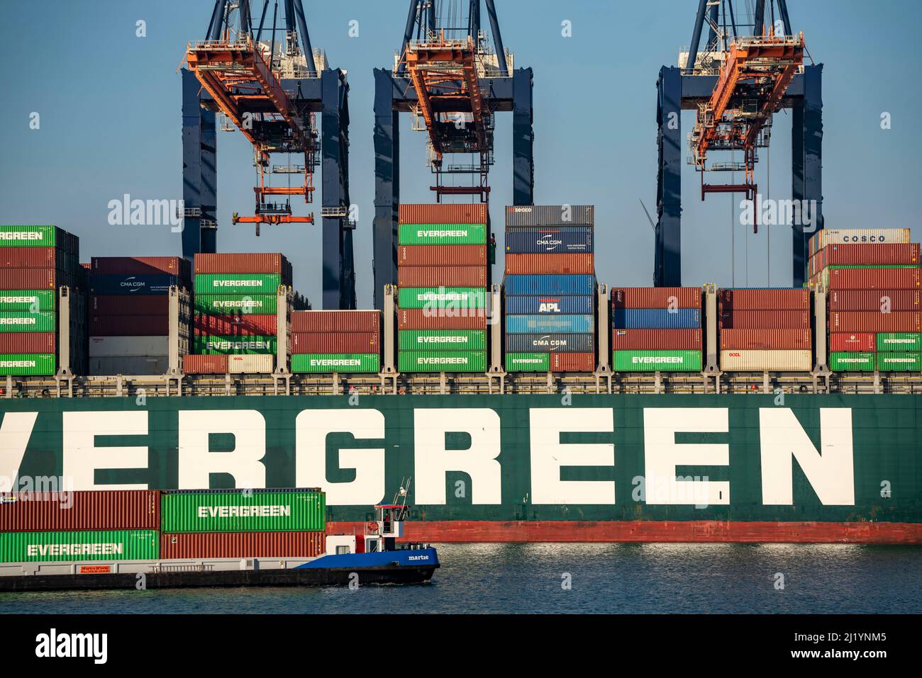 Container ship of shipping company Evergreen, Ever Grade, being loaded ...