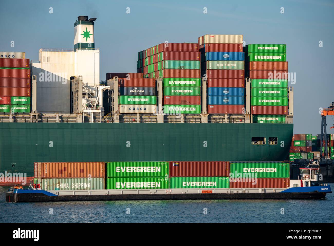 Container ship of shipping company Evergreen, Ever Grade, being loaded ...