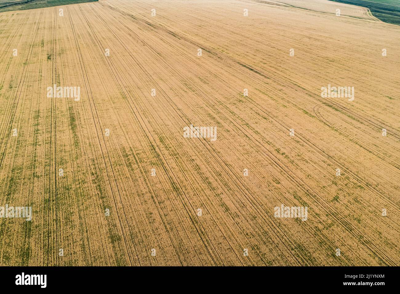 View from above field after harvest. Incredible landscapes and textures ...