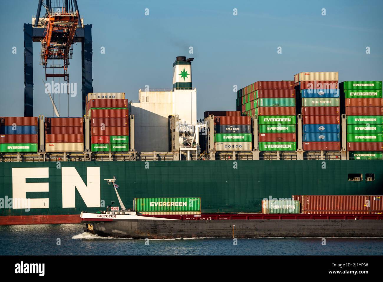 Container ship of shipping company Evergreen, Ever Grade, being loaded ...